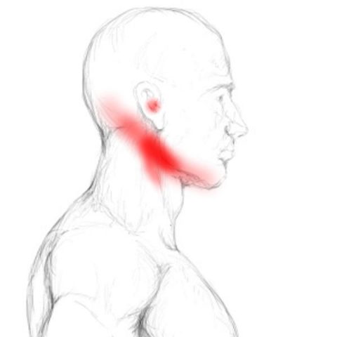 Músculo digástrico – Dolor y puntos gatillo
